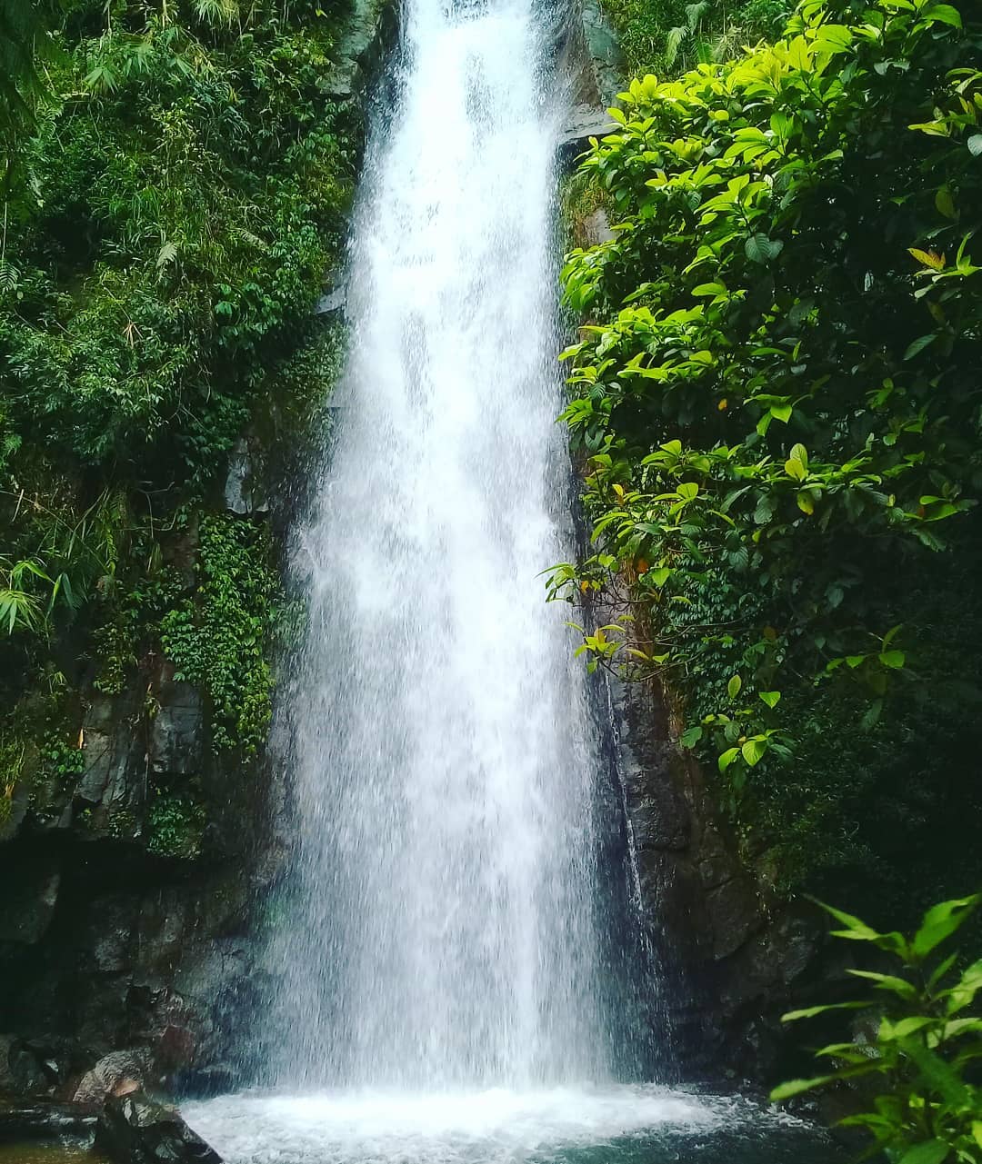 Wisata Curug di Kawasan Cibodas, Sukses Bikin Mata Jadi Melek!