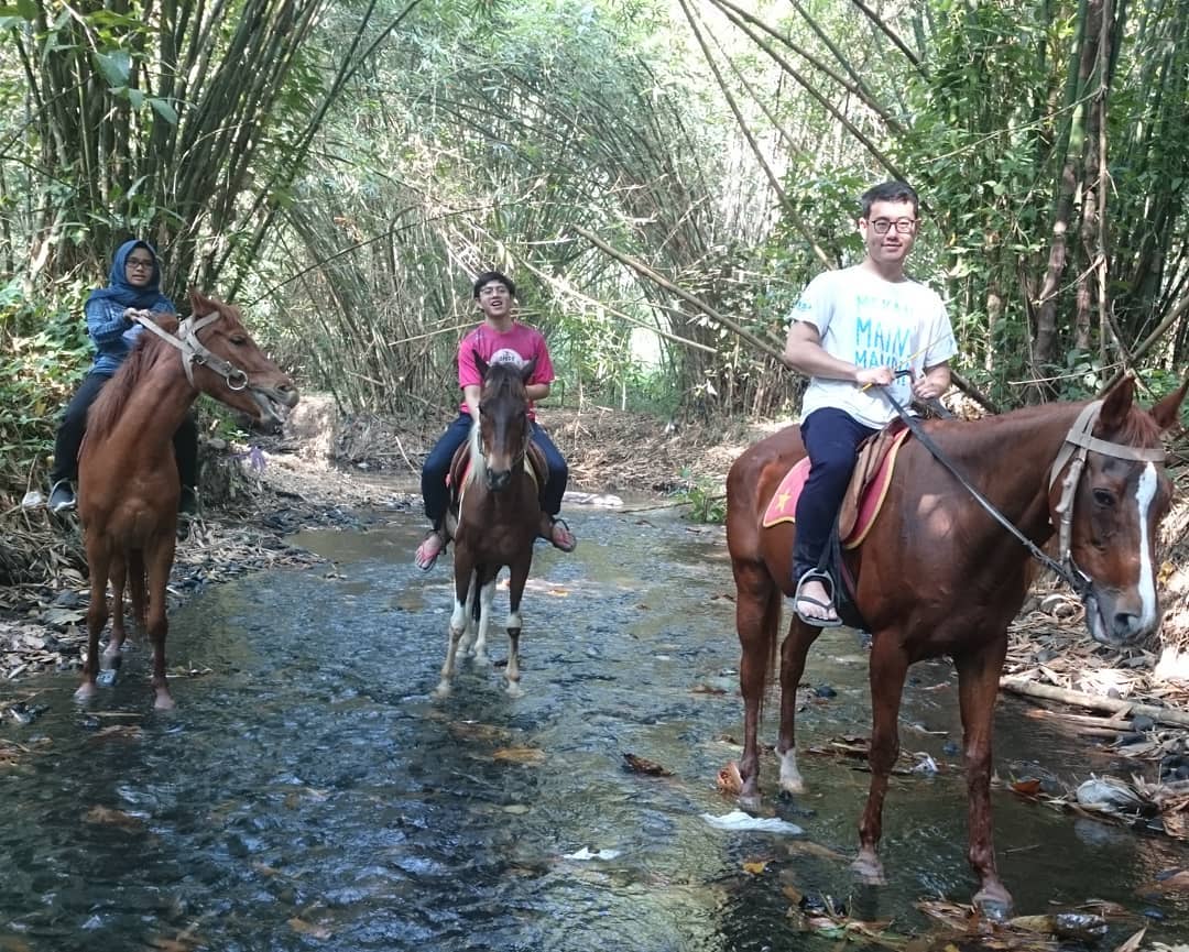 Cobain Naik Kuda di Jogja pada Sekian Tempat Ini, Liburan Jadi Lebih ...