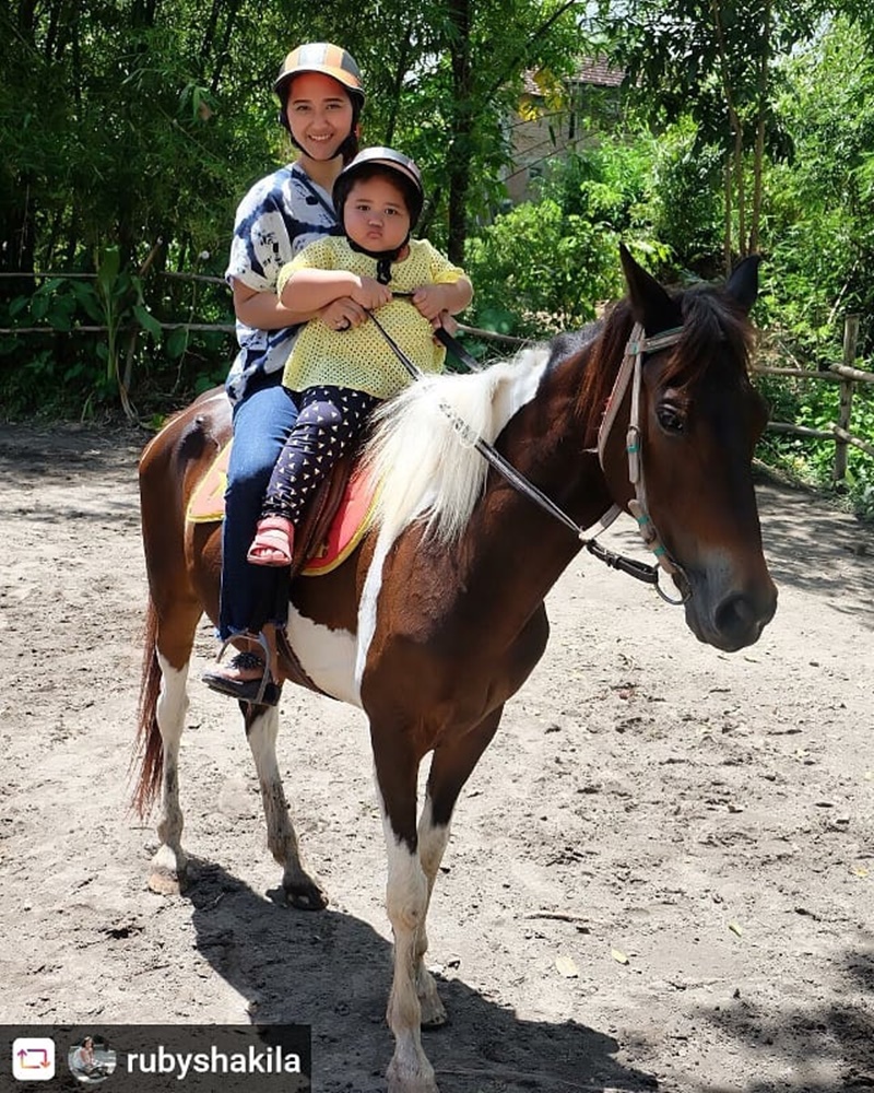 Cobain Naik Kuda di Jogja pada Sekian Tempat Ini, Liburan Jadi Lebih ...