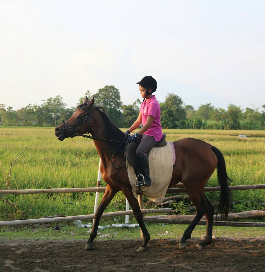 Cobain Naik Kuda di Jogja pada Sekian Tempat Ini, Liburan Jadi Lebih ...