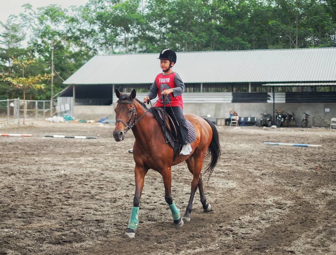 Cobain Naik Kuda di Jogja pada Sekian Tempat Ini, Liburan Jadi Lebih ...