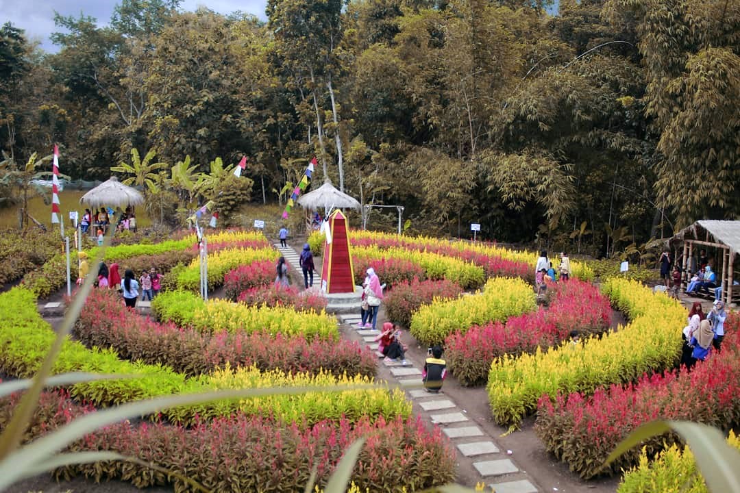 Taman Bunga Ragil Kuning di Boyolali, Wisata Instagenic Bernuansa Belanda