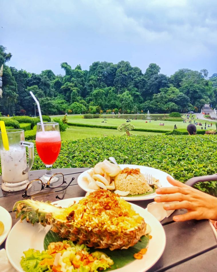 Grand Garden Resto & Cafe yang Berpanoramakan Kebun Raya Bogor, Pernah ...