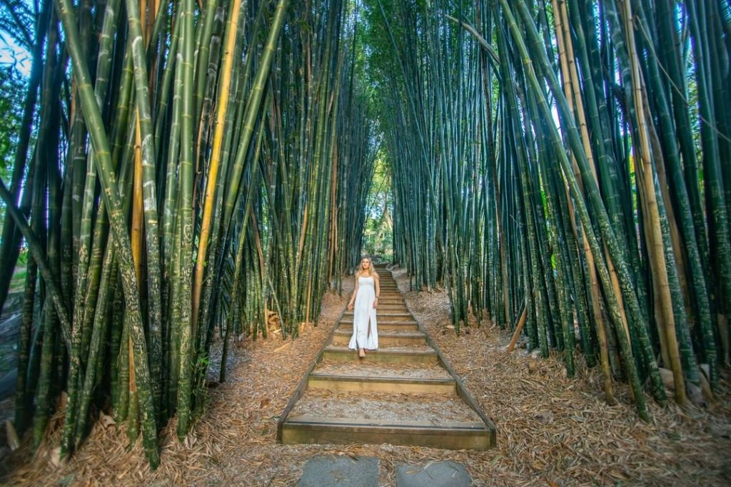 Crystal Castle Australia, Punya Gua Kristal yang Akan Membuatmu Merasa ...