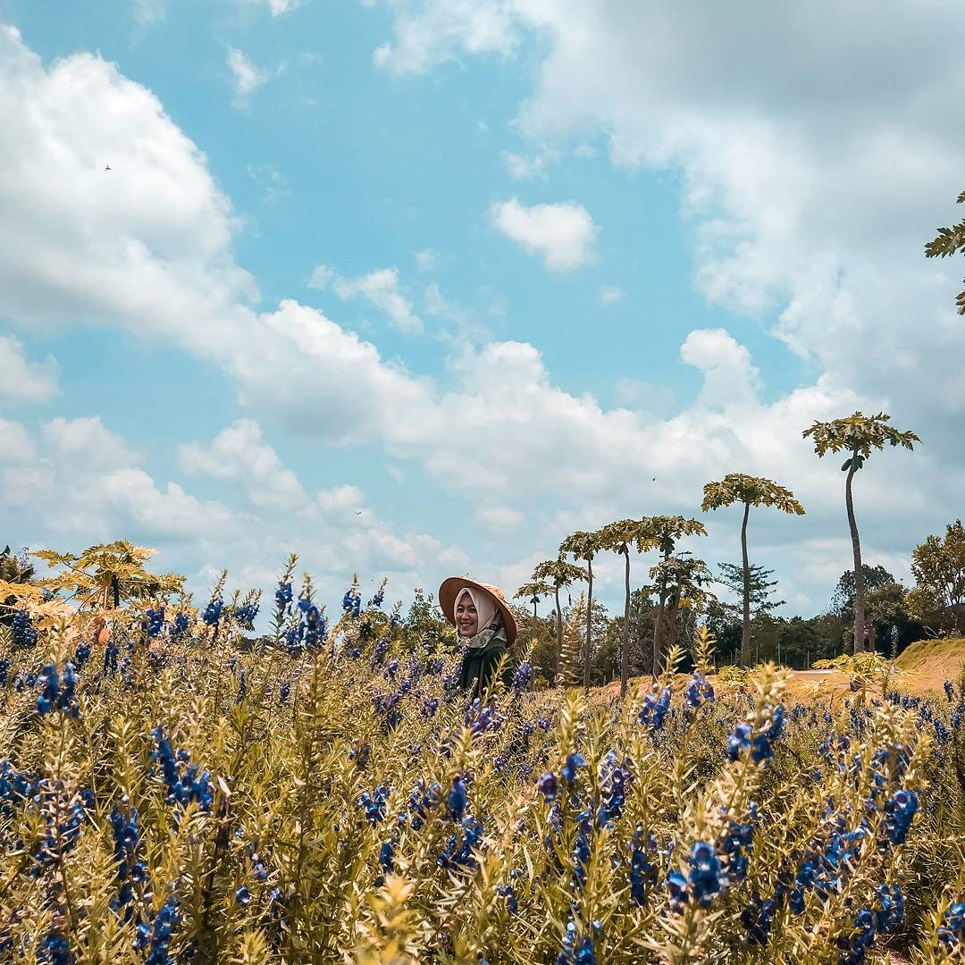 Seru-seruan Bareng Gajah di Safari Lagoi and Eco Farm Bintan, Kebun ...