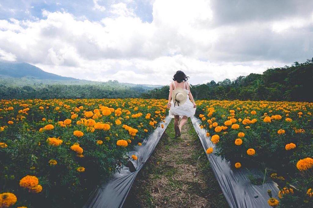 5 Kebun Bunga Instagenic Bali, Kapan Mau Foto-foto di Sini?