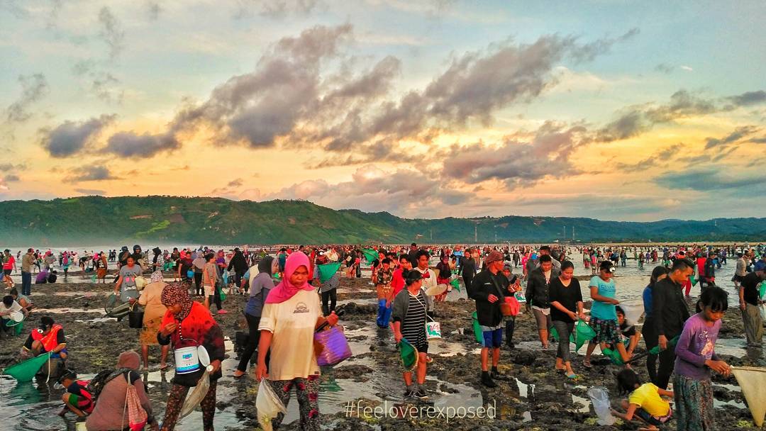 Festival Pesona Bau Nyale 2019 di Lombok, Lebih dari Sekedar Menangkap ...