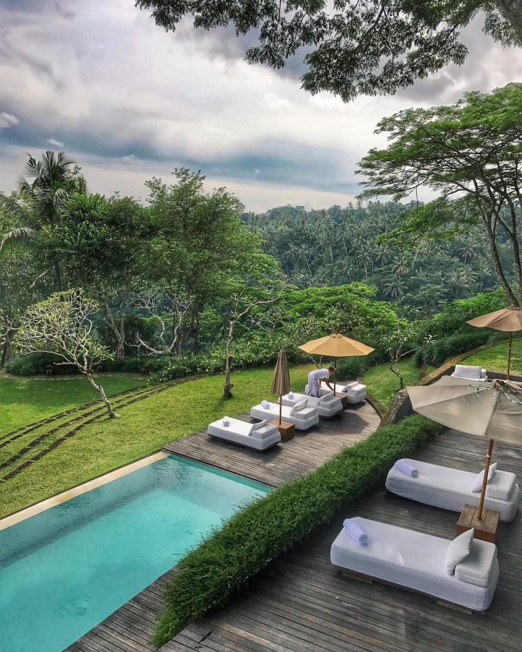 6 Luxury Resorts in Ubud with Charming Green Views