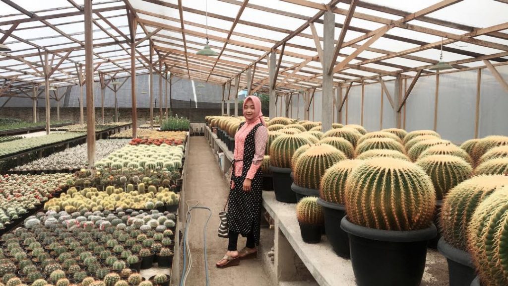 Pilihan Tempat Belanja Bunga di Bandung, Kado Cantik untuk Pasangan di ...