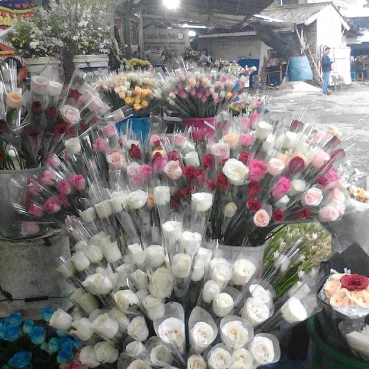 Pilihan Tempat Belanja Bunga di Bandung, Kado Cantik untuk Pasangan di ...