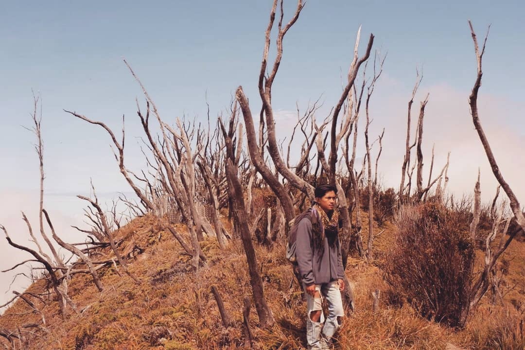 Pesona Hutan Mati di Indonesia Ini Tampilkan Pohon-pohon Mati yang ...