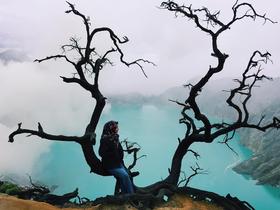 Pesona Hutan Mati di Indonesia Ini Tampilkan Pohon-pohon Mati yang ...