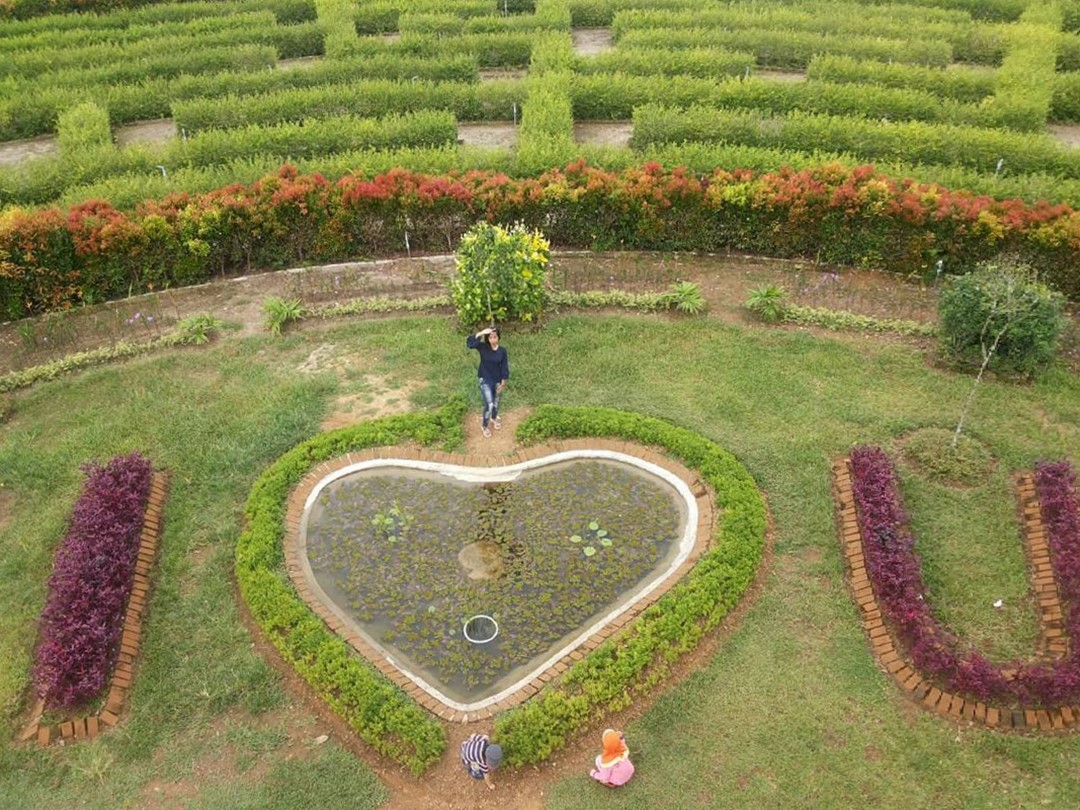 Kebun Raya Banua dengan Ribuan Koleksi Tanaman Langka, Wajib Jadi ...