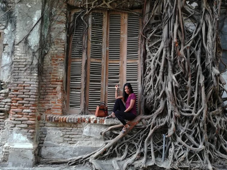 Serem tapi Keren, Ini Spot Akar Pohon Instagenic yang Bikin Serasa di ...