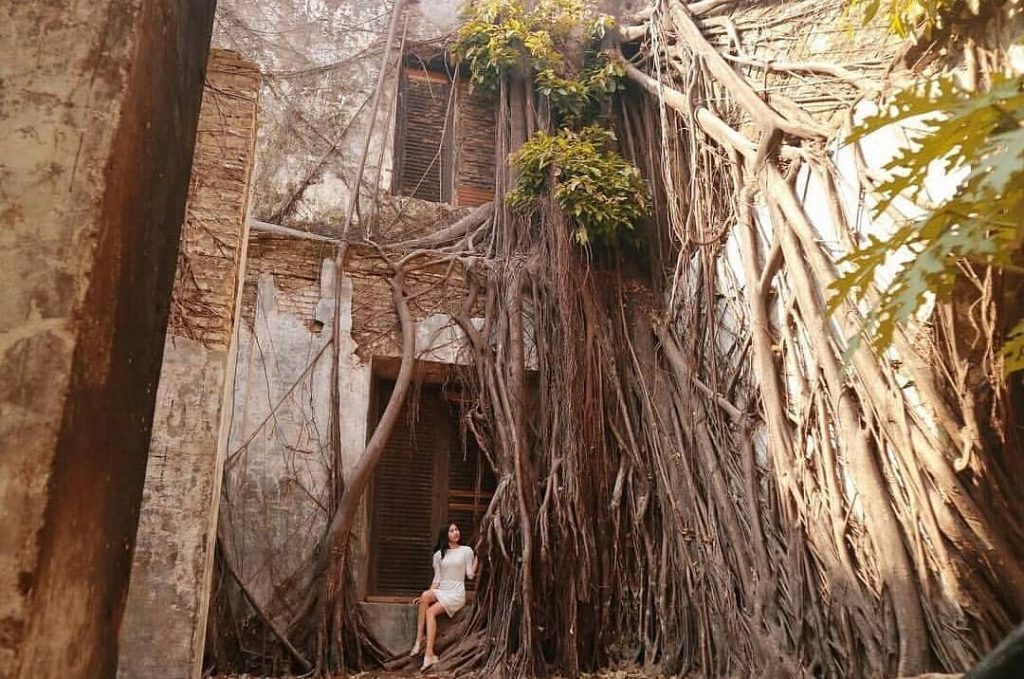Serem tapi Keren, Ini Spot Akar Pohon Instagenic yang Bikin Serasa di ...
