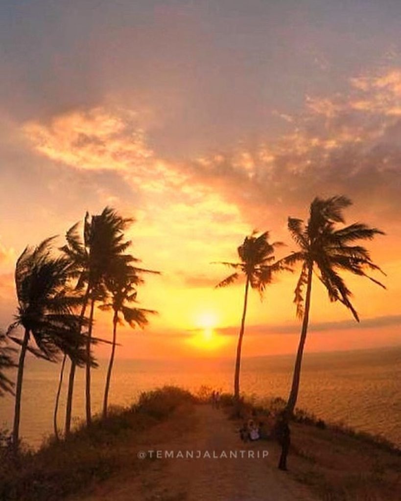 Pemandangan Luar Biasa dari Bukit-bukit di Lombok, Bikin Pengin Liburan!