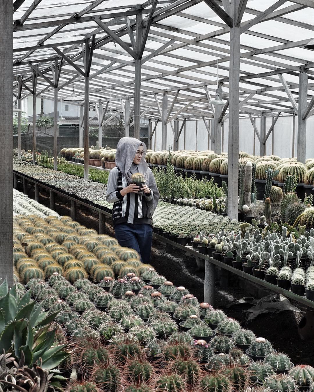 Pilihan Tempat Belanja Bunga di Bandung, Kado Cantik untuk Pasangan di ...