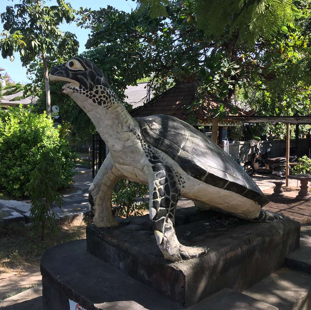 Help the environment, Adopt a Sea Turtle in Bali