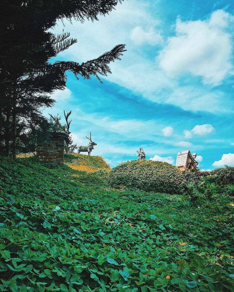 Six Things You Can Enjoy at Farmhouse Lembang