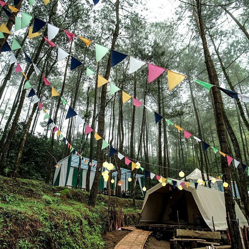 Baru Diresmikan! Glamping De’Loano Purworejo Wajib Dikunjungi Akhir Pekan Ini