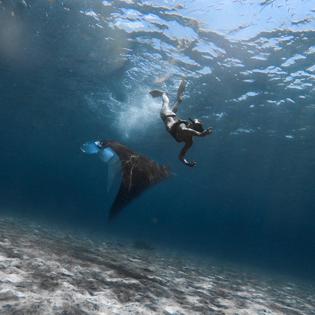 Snorkeling with Manta Rays at Nusa Penida