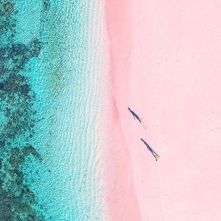 Enjoy a Private Pink Beach in Tangsi, East Lombok