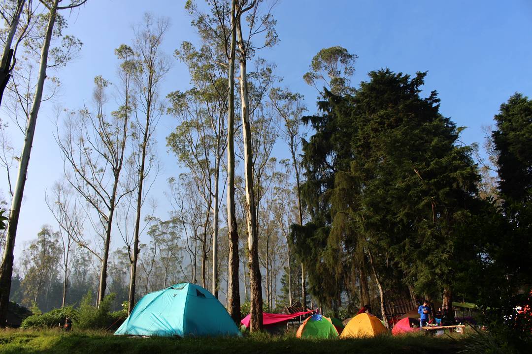 Ranca Upas Ciwidey, a Great Camping Ground in South Bandung