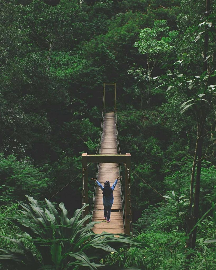 Explore the Djuanda Forest Park, a Jungle in a City