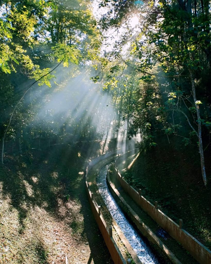 Explore the Djuanda Forest Park, a Jungle in a City