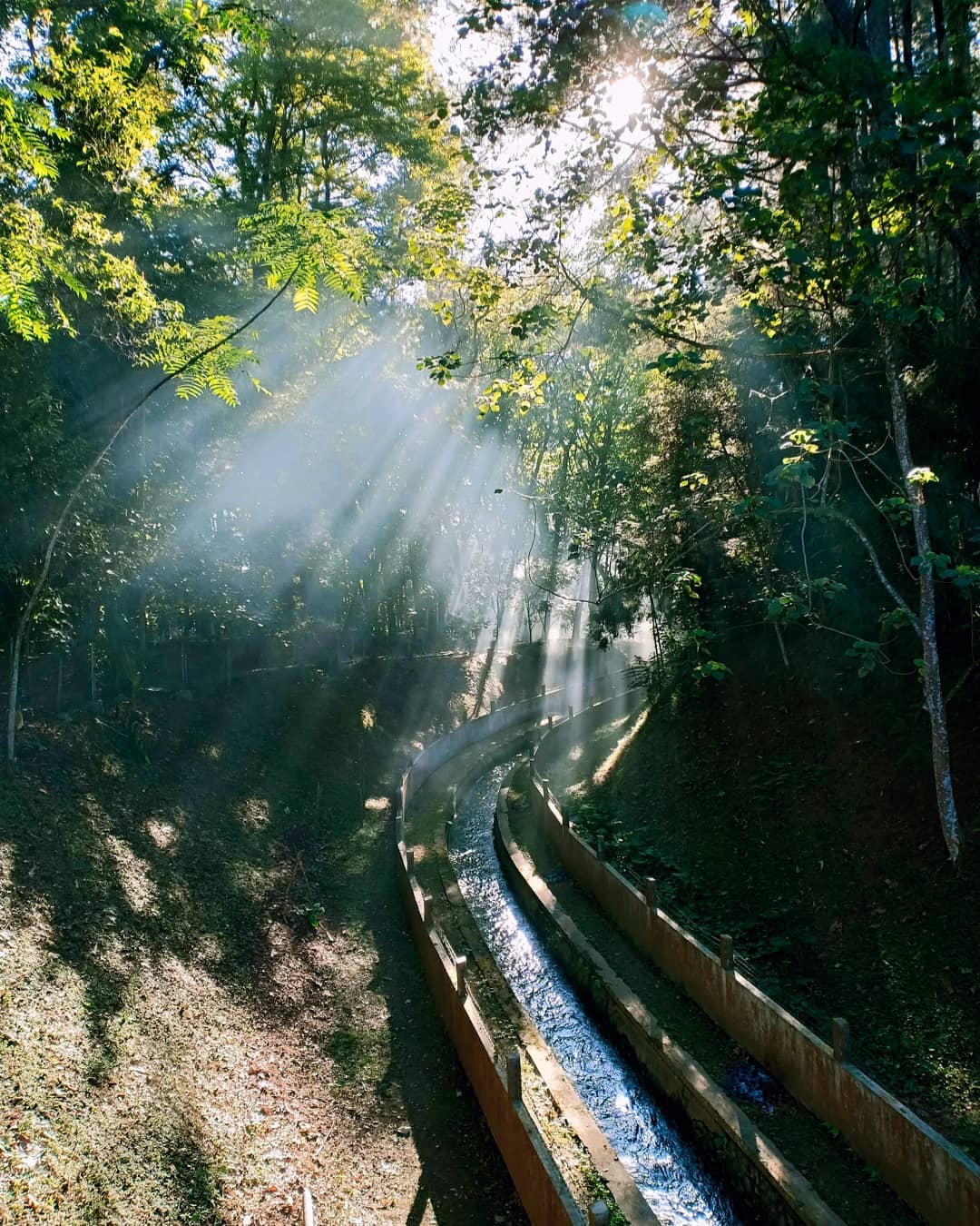 Explore the Djuanda Forest Park, a Jungle in a City