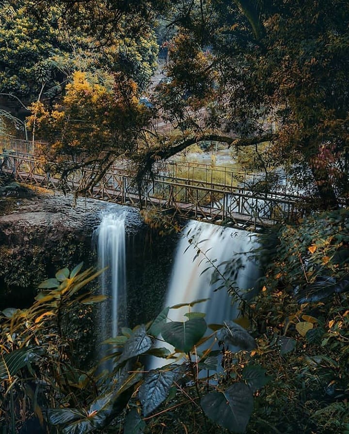 Explore the Djuanda Forest Park, a Jungle in a City