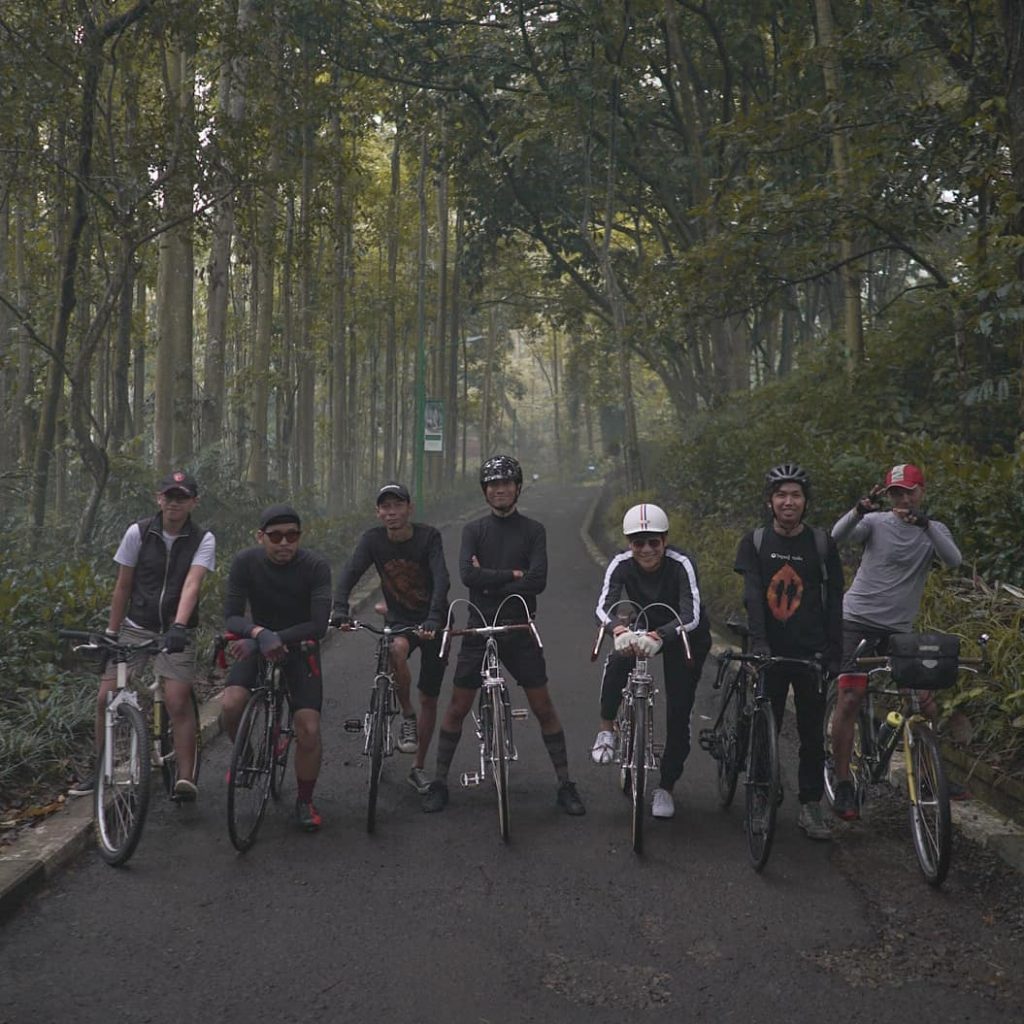 Explore The Djuanda Forest Park A Jungle In A City 