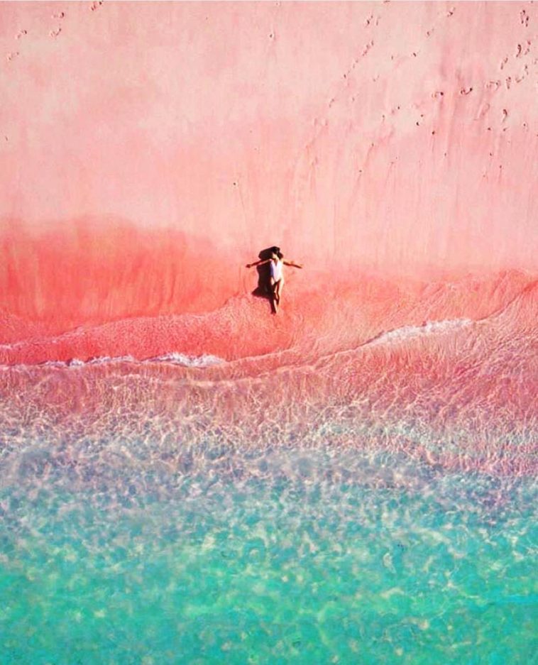 Enjoy a Private Pink Beach in Tangsi, East Lombok