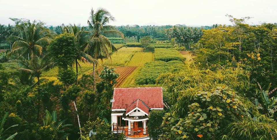 Akomodasi di Tengah Sawah Magelang, Menginap Sambil Ditemani Hijaunya ...