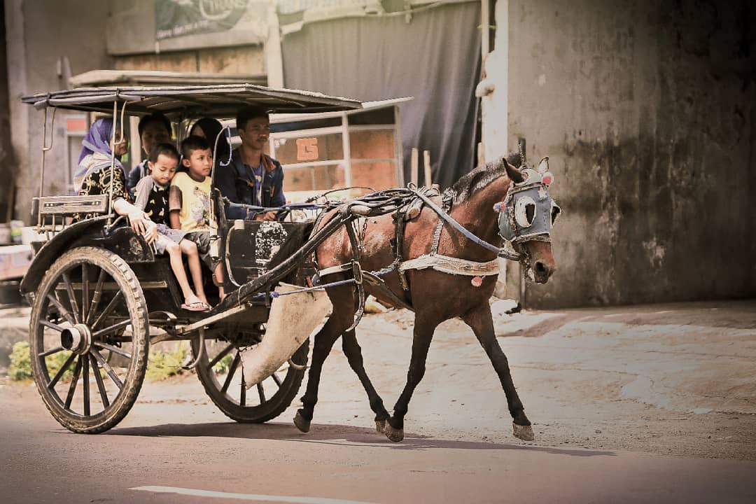 Coba Kendaraan Tradisional Saat Liburan, Sukses Bikin Malas Pulang