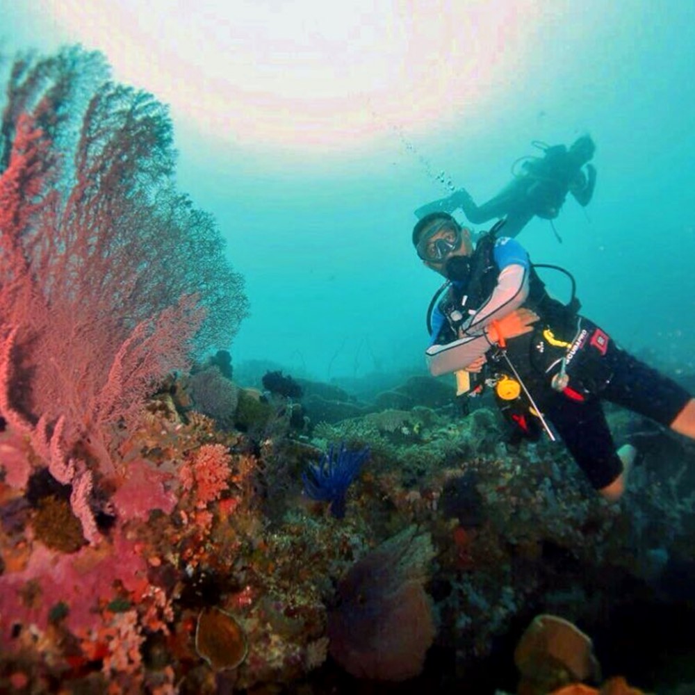 Pulau Dua Balatak di Sulawesi Tengah, Bukit Ratusan Tangga dengan ...