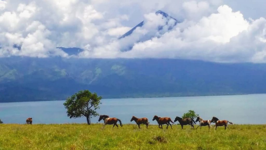 11 Wisata Kawasan Pantai Selatan Pulau Flores, Surga Tersembunyi yang ...
