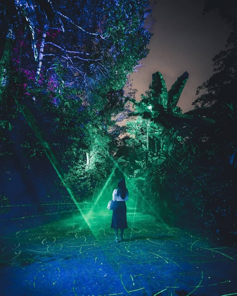 Rainforest Lumina di Kebun Binatang Singapura, Berikan Pengalaman Seru ...