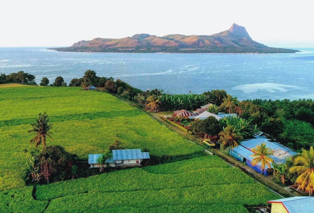 11 Wisata Kawasan Pantai Selatan Pulau Flores, Surga Tersembunyi yang ...