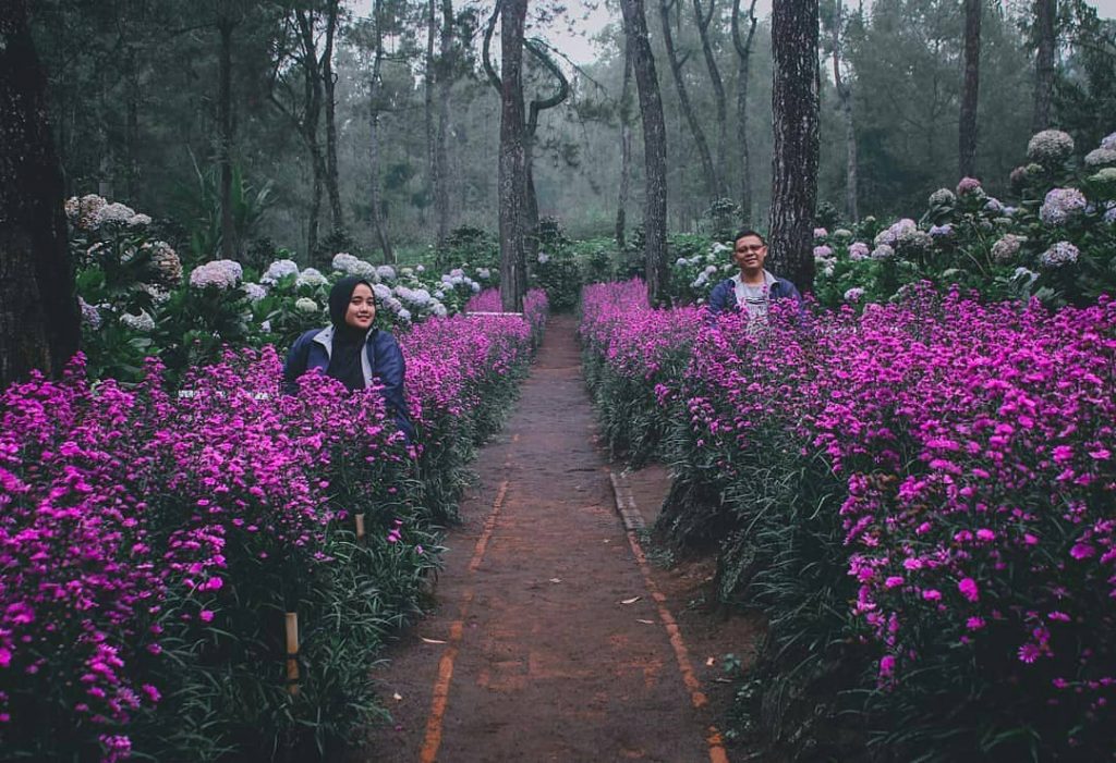 10 Spot Foto Hits di Wisata Alam Malang Raya Rekomendasi Travelingyuk