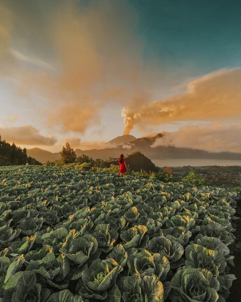 Pinggan, the Village above the Cloud in Bali