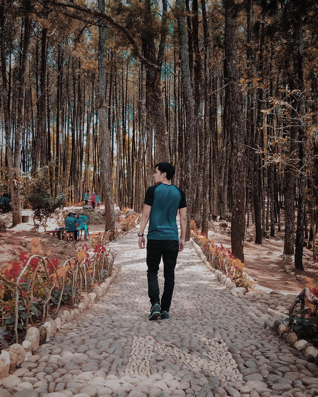 10 Most Beautiful Flower Gardens of Jogja