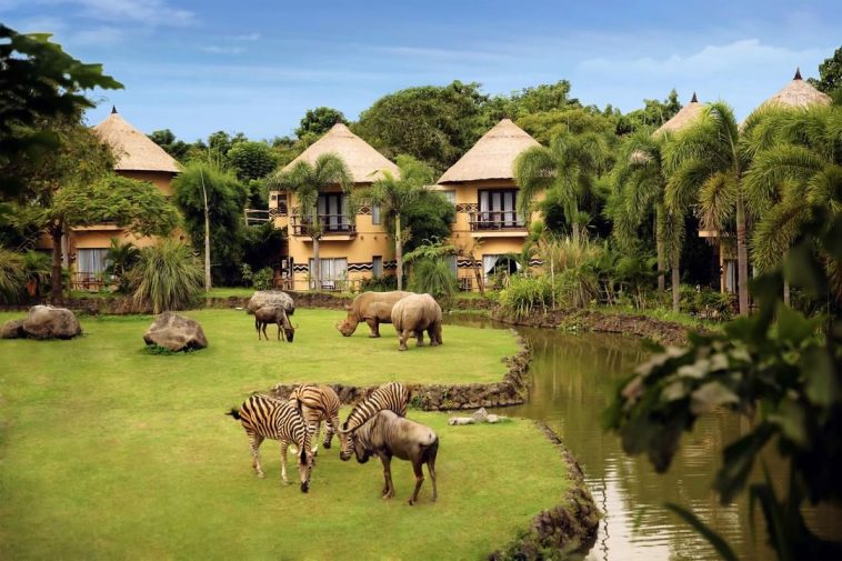 6 Most Captivating Animal Attractions in Bali