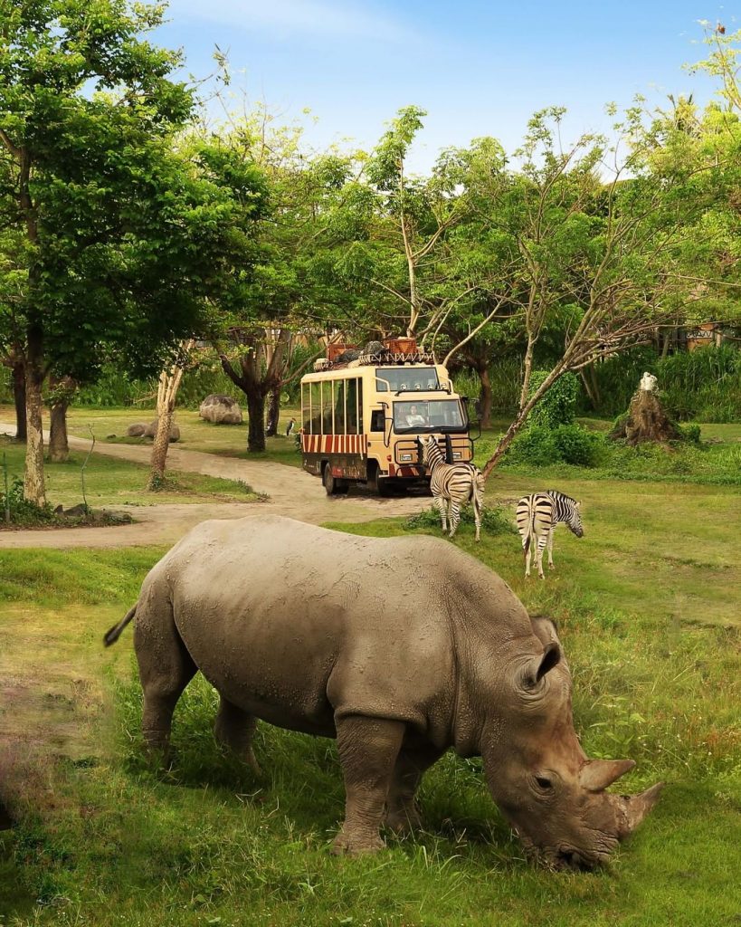6 Most Captivating Animal Attractions in Bali