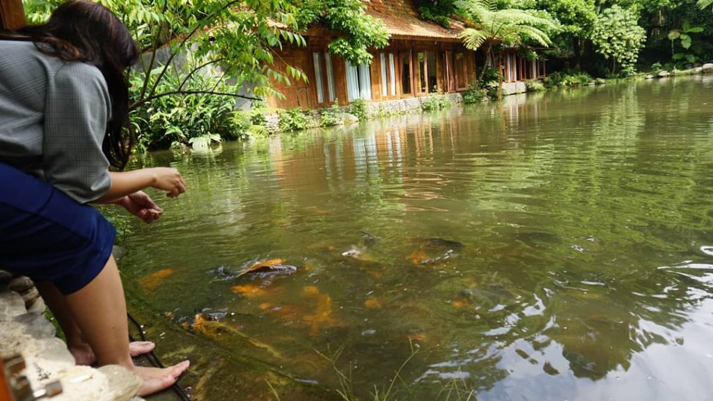 Tempat menginap dengan Pemancingan Keren di Bandung