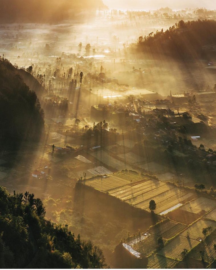 Pinggan, the Village above the Cloud in Bali