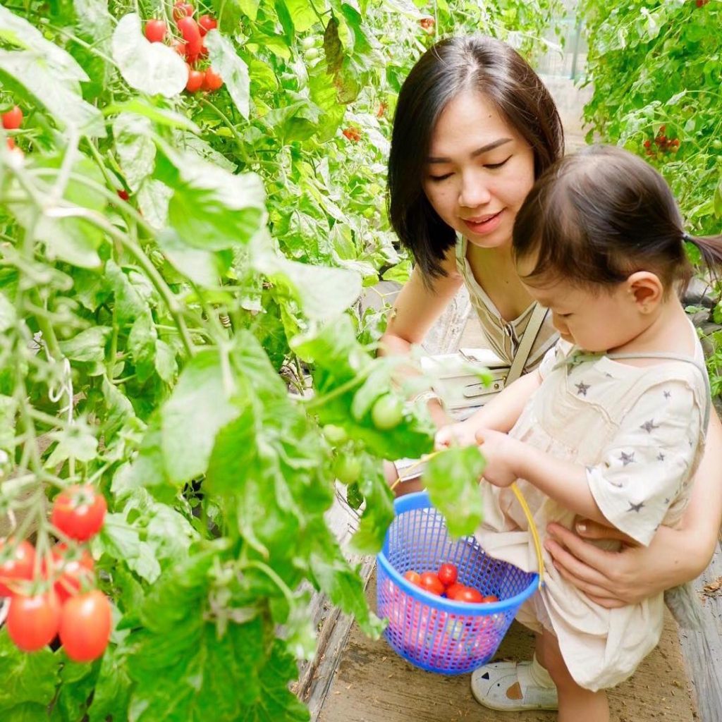 Jendela Alam, a Wonderful Educational Tourism in Bandung