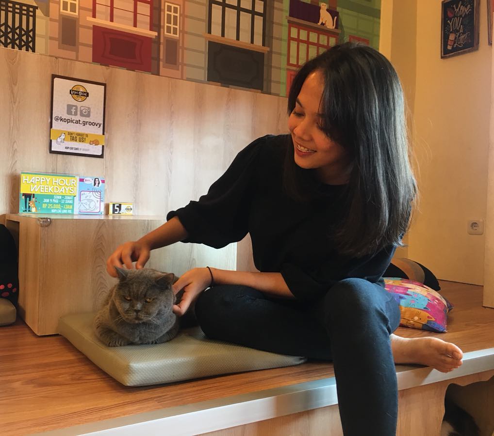 Cafe untuk Pecinta Kucing di Jakarta dan Sekitarnya, Siap-siap Gemas Saja!