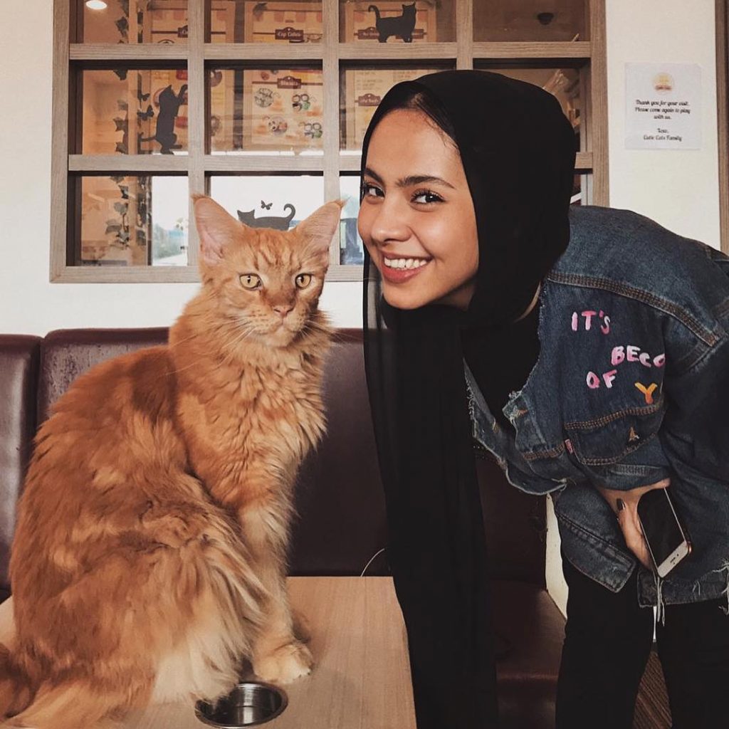 Cafe untuk Pecinta Kucing di Jakarta dan Sekitarnya, Siap-siap Gemas Saja!