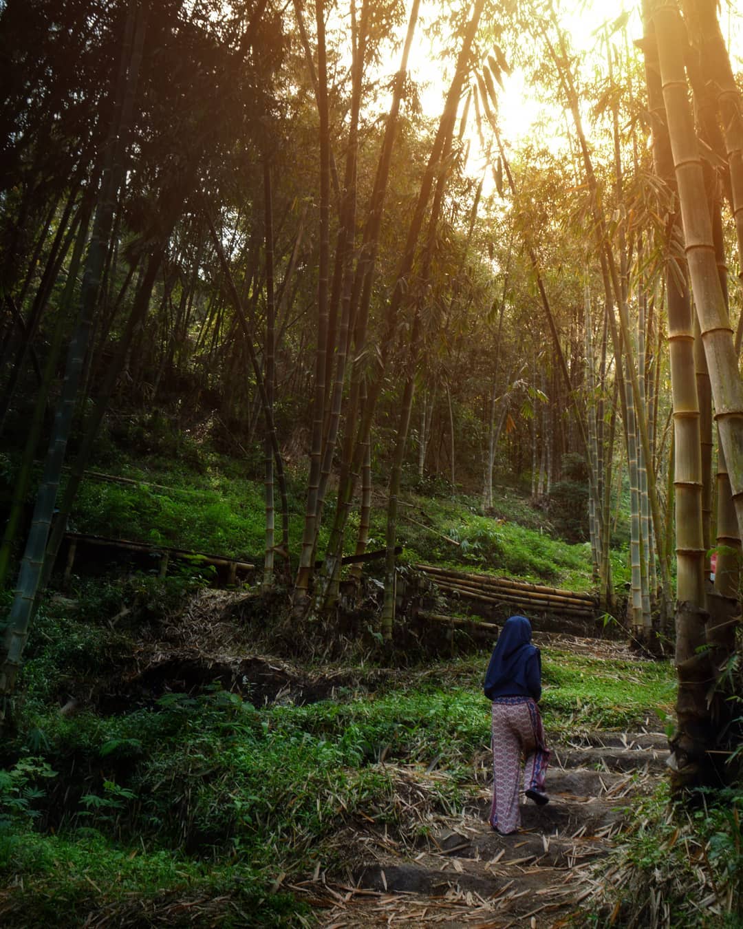 Hutan Bambu di Jawa Timur, Adem dan Instagenic Lho!